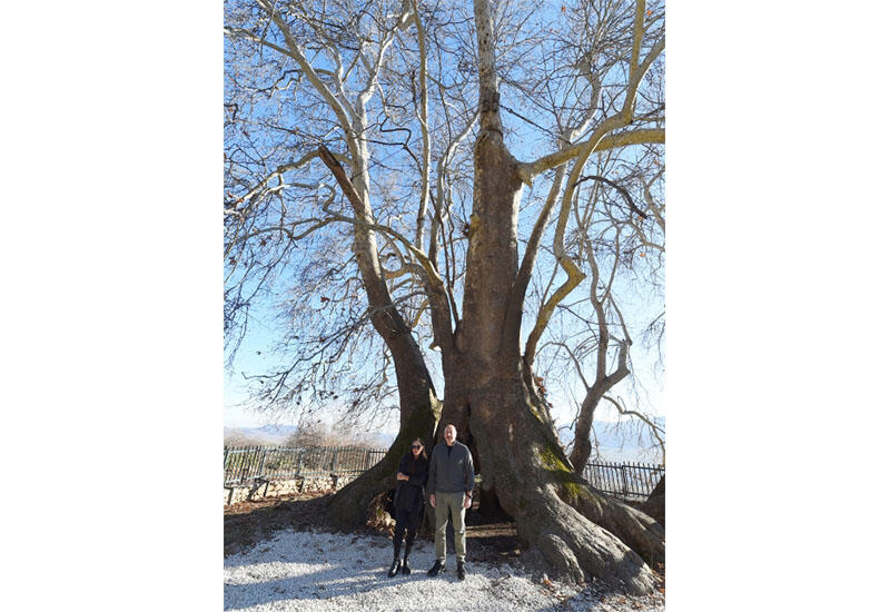 Президент Ильхам Алиев и Первая леди Мехрибан Алиева осмотрели ...